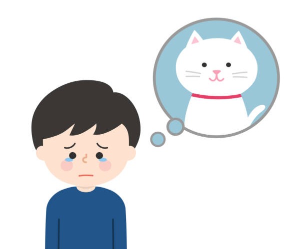 Tootaa حين يواجه الأطفال ألم الفقد: كيف نساعدهم على الشفاء والتكيف ...